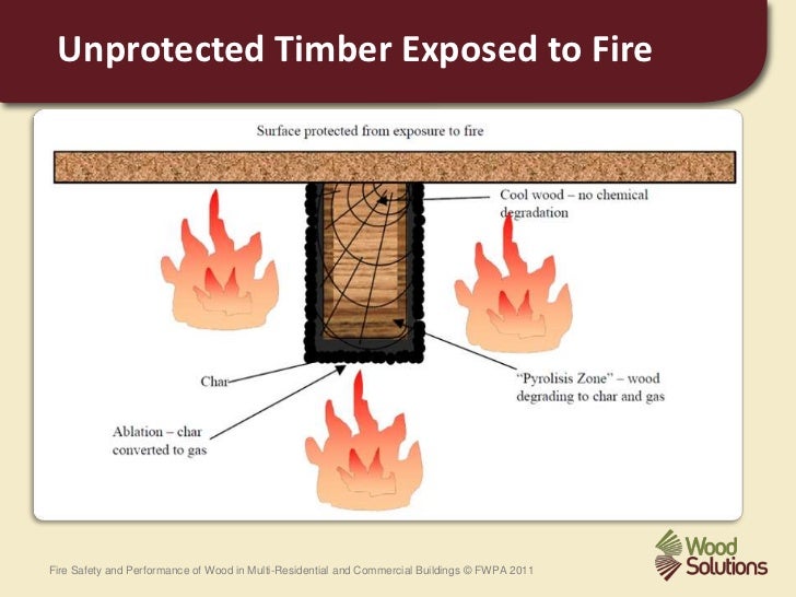 Fire Safety and Performance of Wood