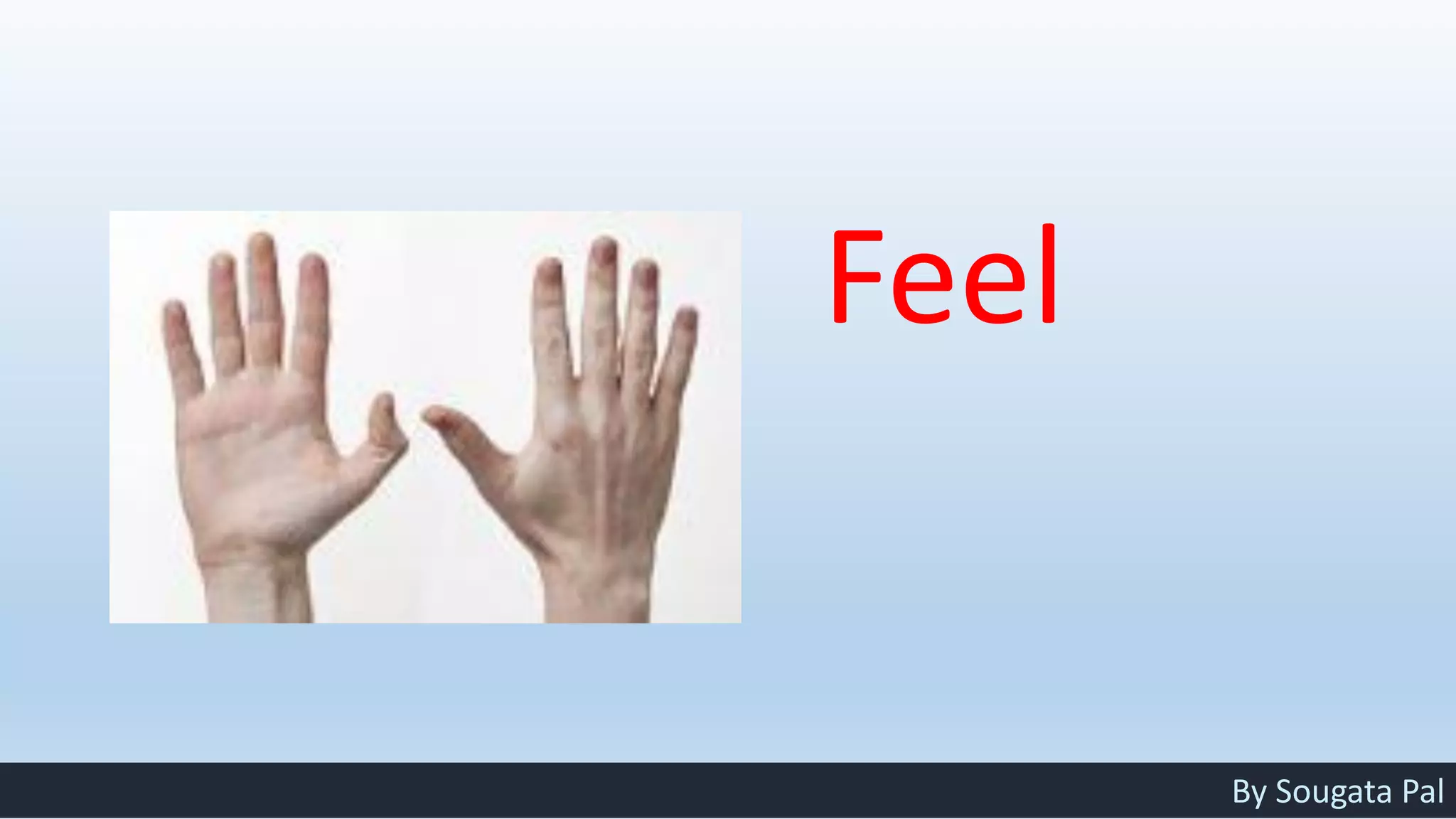 Look Listen Feel (LLF) by Sougata Pal | PDF