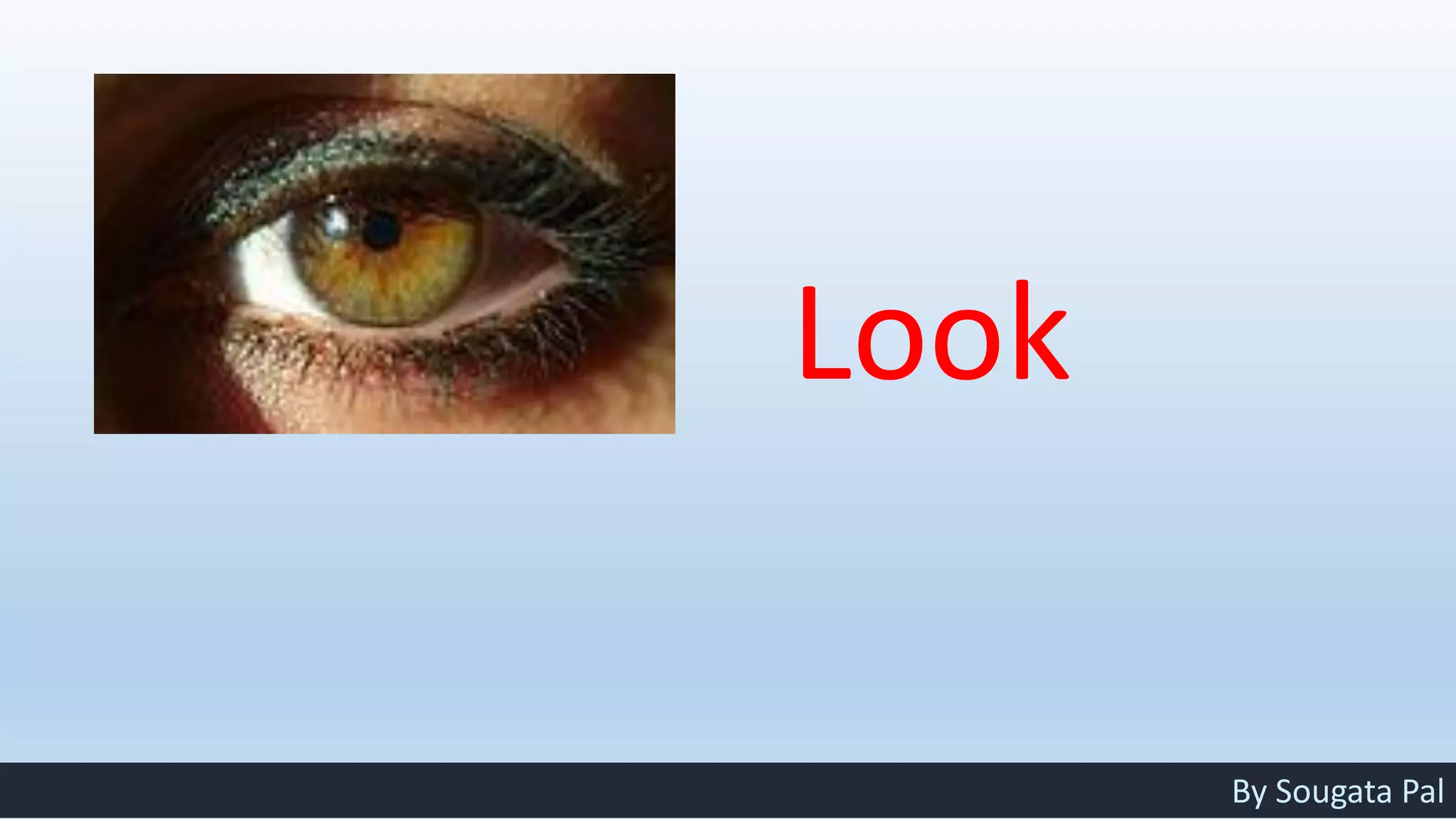 Look Listen Feel (LLF) by Sougata Pal | PDF