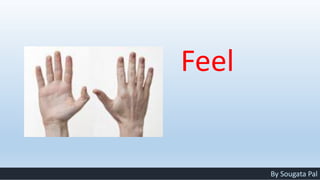 Look Listen Feel (LLF) by Sougata Pal | PDF