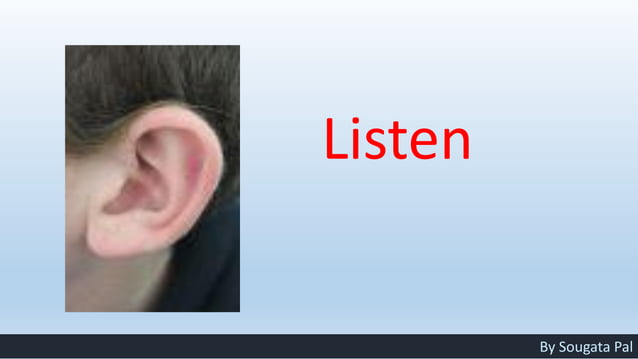 Look Listen Feel (LLF) by Sougata Pal | PDF | Automotive