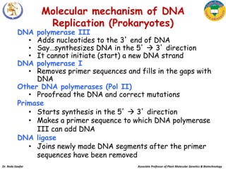molecular genetics | PPT