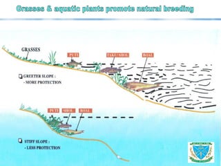 Sustainable Fish Production and Management to Meet the Requirements for ...