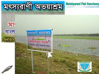 Sustainable Fish Production and Management to Meet the Requirements for ...