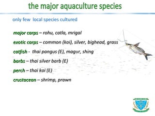 Sustainable Fish Production and Management to Meet the Requirements for ...
