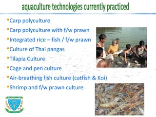 Sustainable Fish Production and Management to Meet the Requirements for ...
