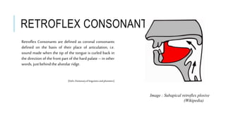Methodology for Oral Didactic: Retroflex Consonants of Indo-Aryan ...