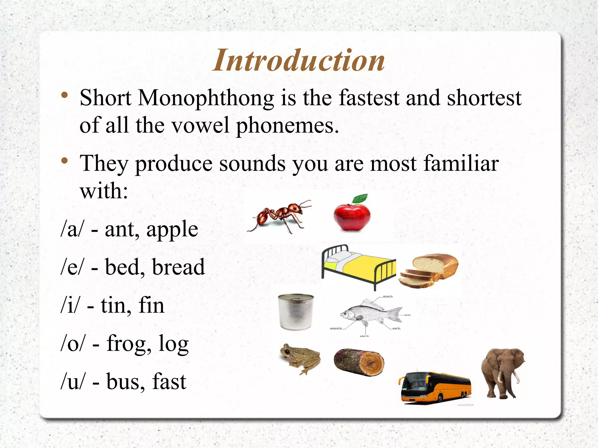 Languagelab 1.2 - Long Monophthongs | PPT