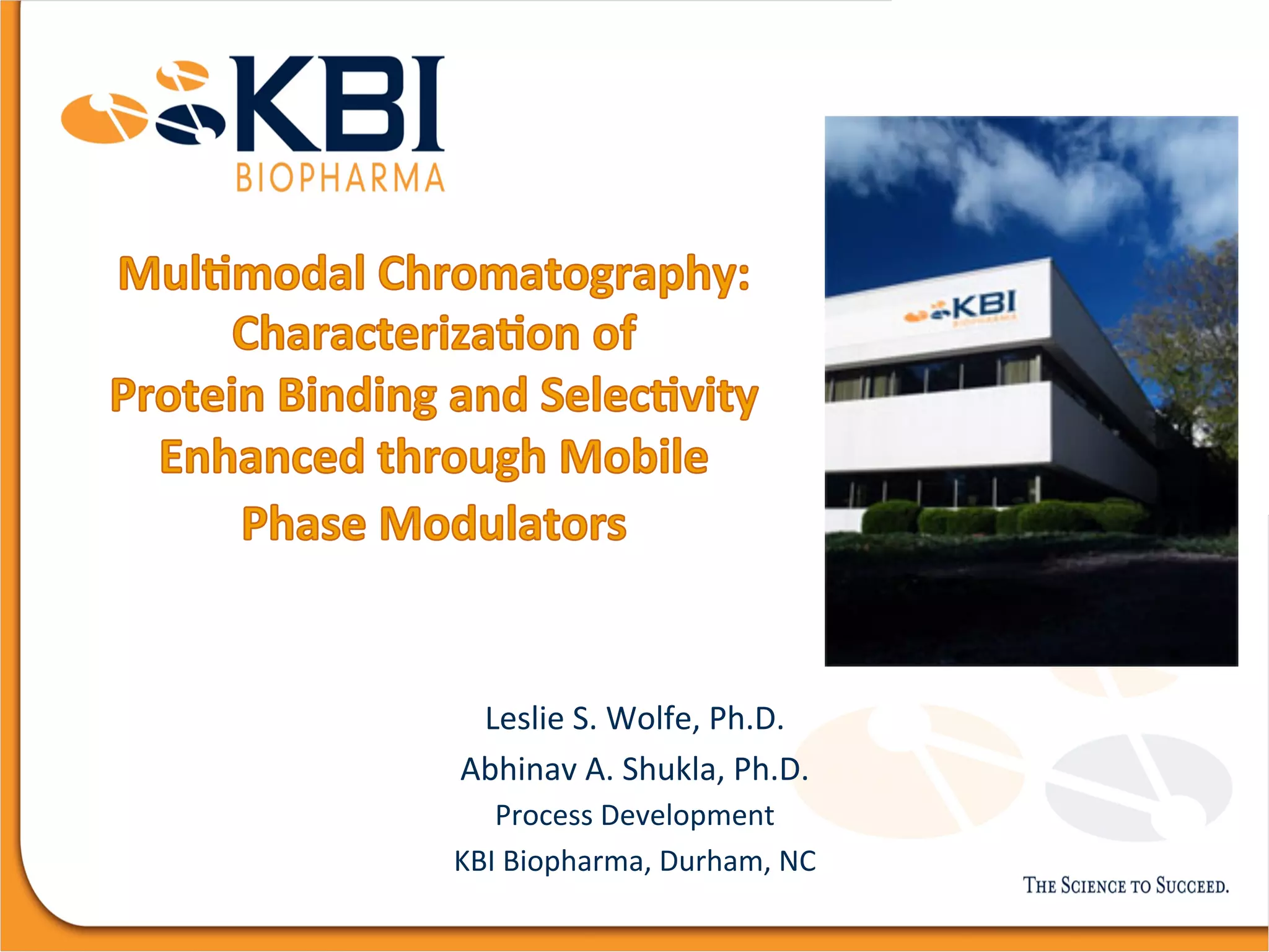 Multimodal Chromatography | PDF