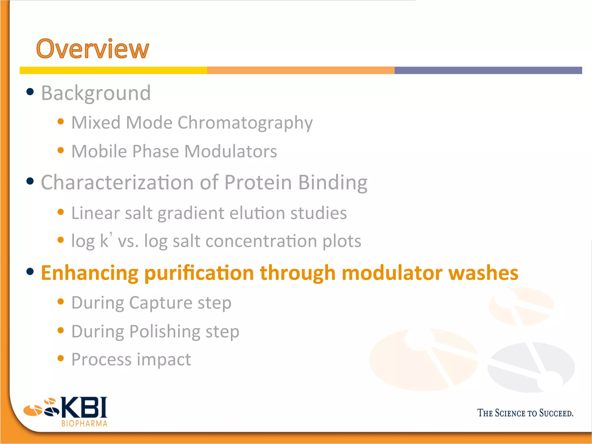 Multimodal Chromatography | PDF