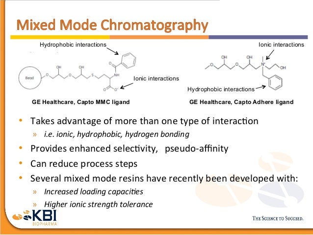 Multimodal Chromatography