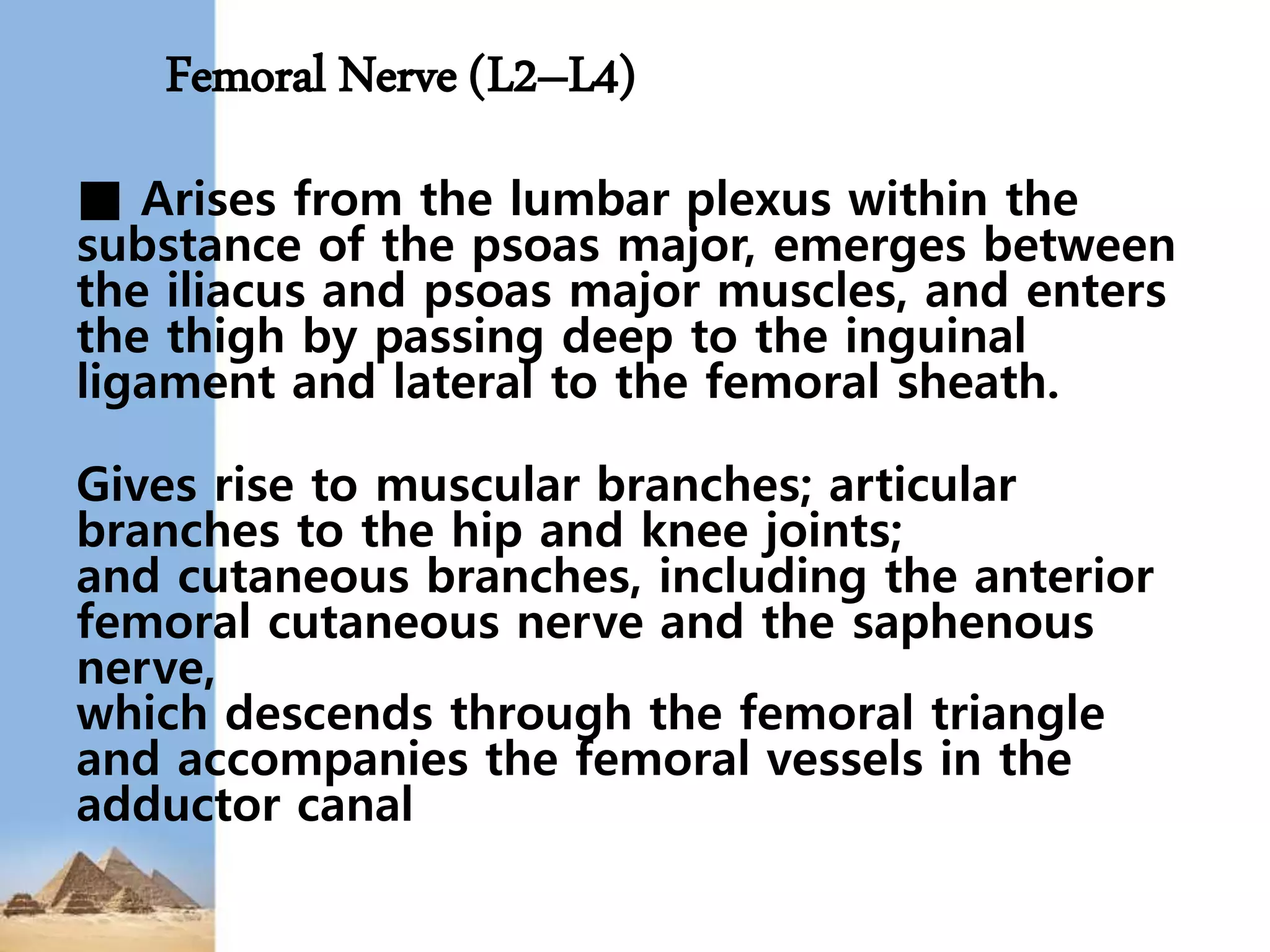 Lower limb nerve injuries | PPTX