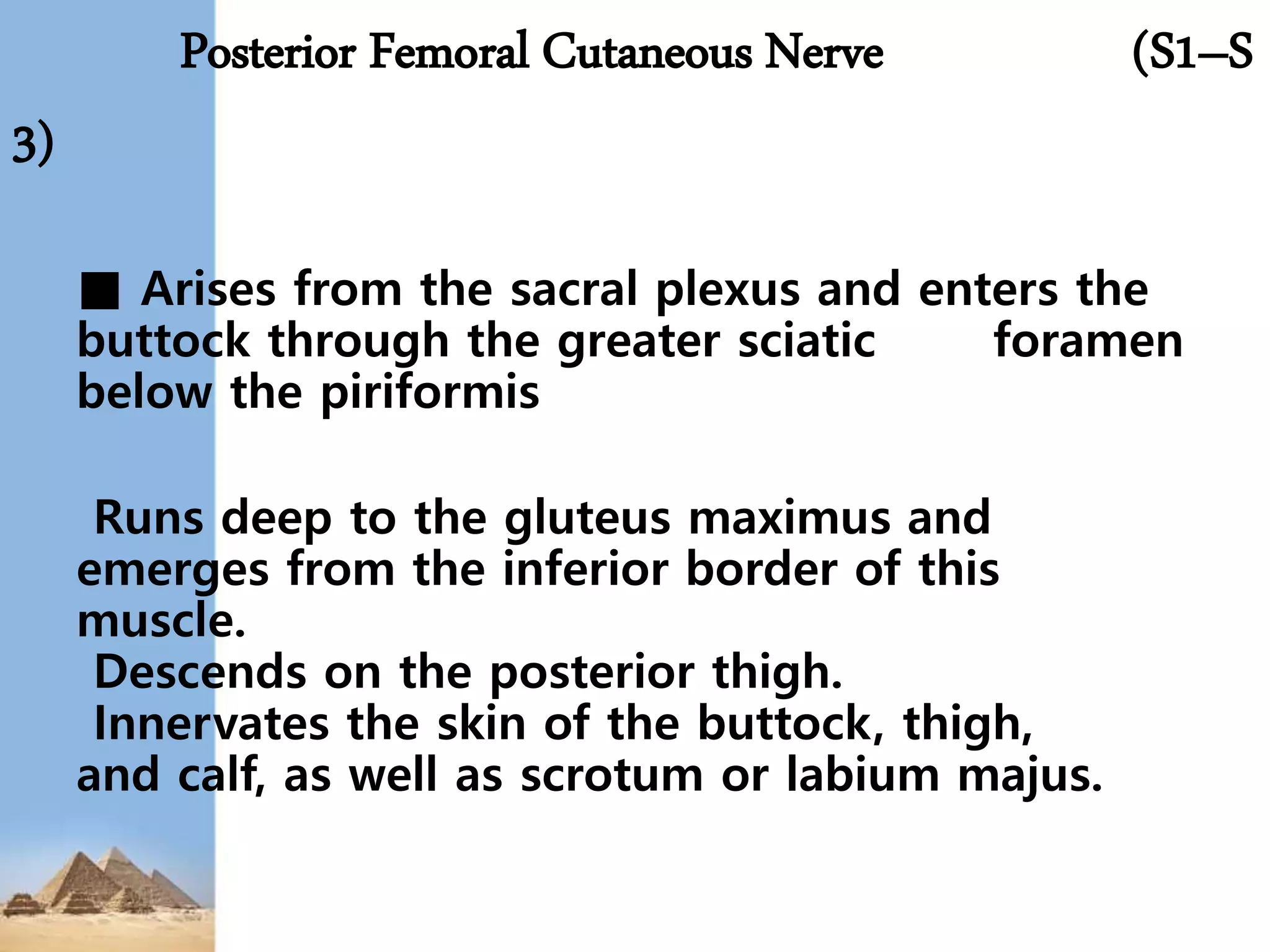 Lower limb nerve injuries | PPTX