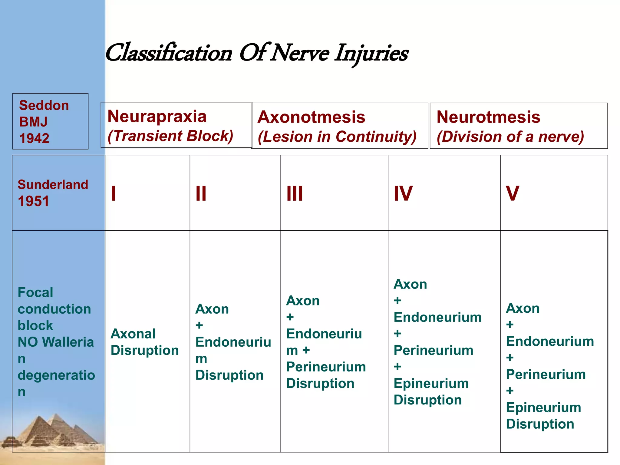 Lower limb nerve injuries | PPTX