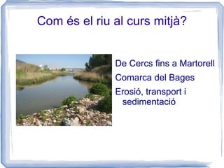 Llobregat. Curs mitjà | ODP