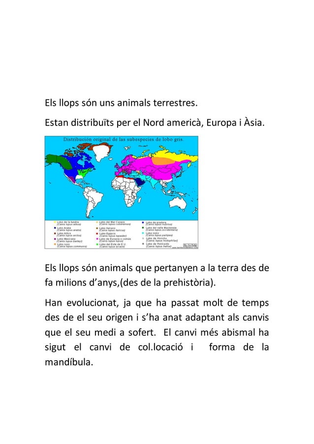 Llop | DOCX