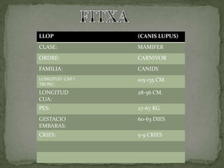 Llops | PPT