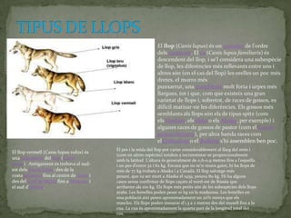 Llops | PPT