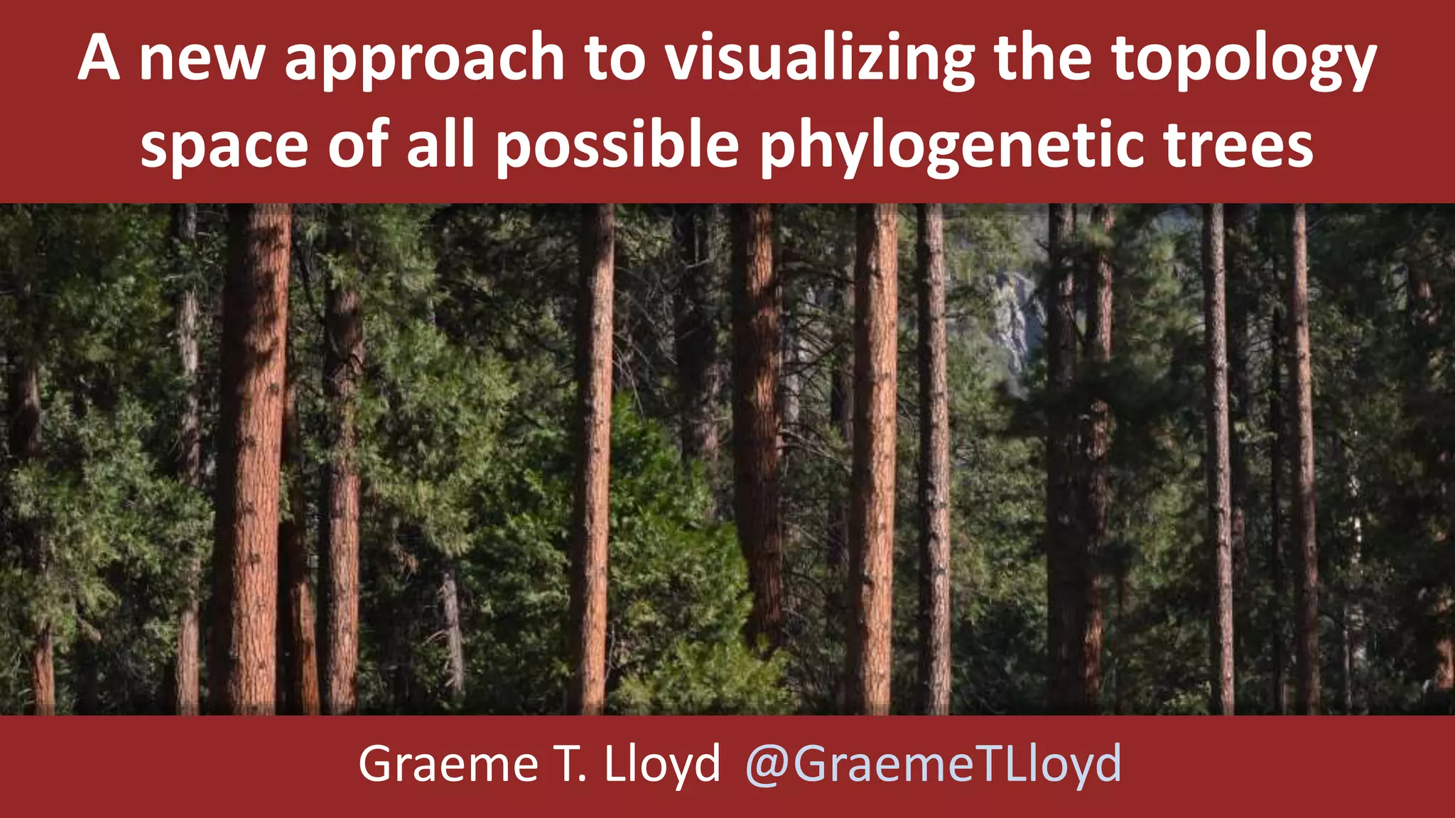 A new approach to visualizing the topology space of all possible phylogenetic trees | PPT