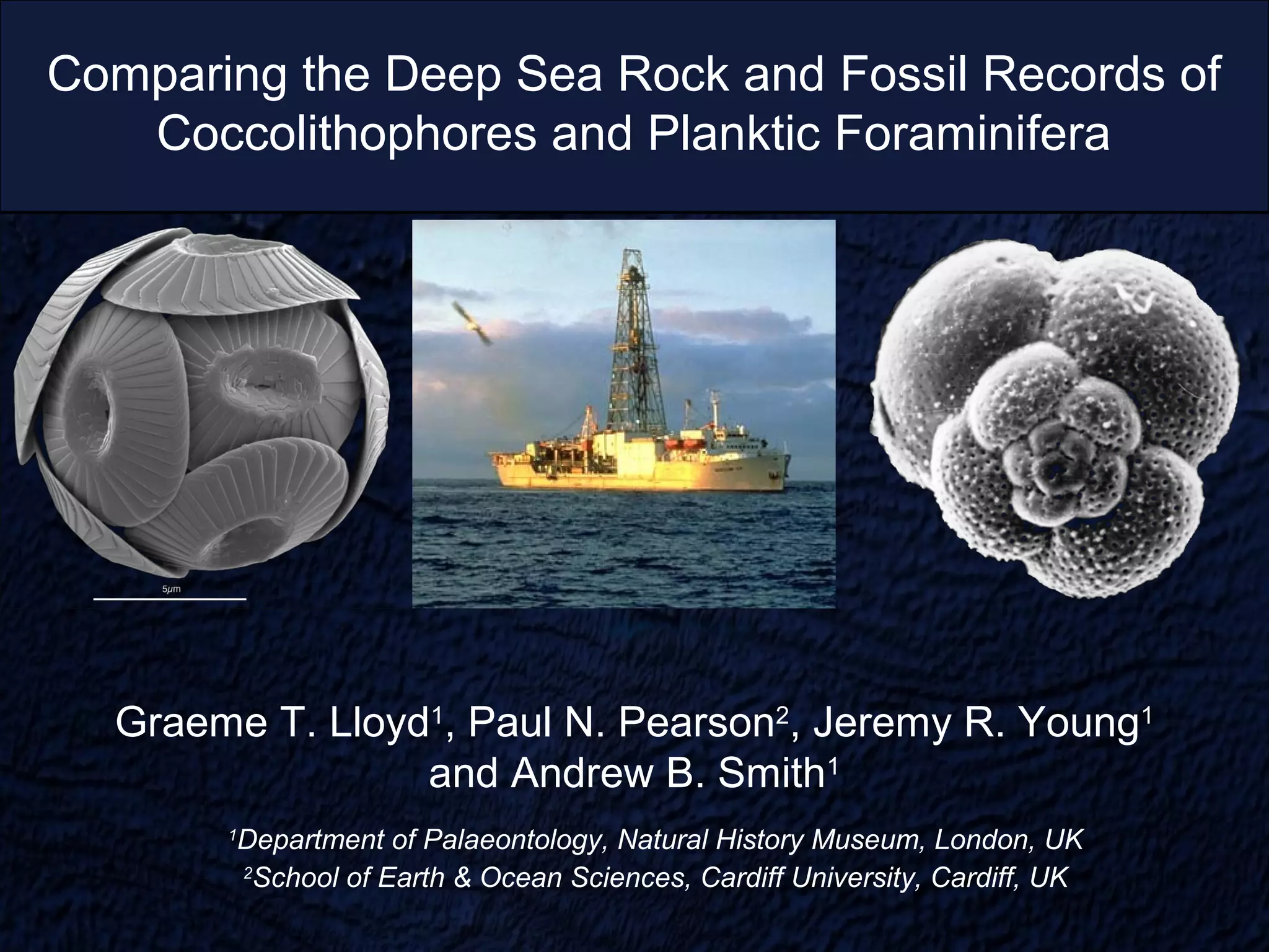 Comparing Deep Sea Rock and Fossil Records of Coccolithophores and ...
