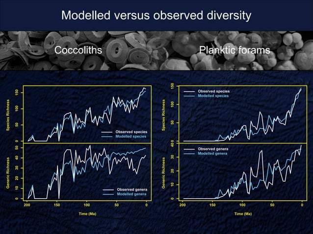 Comparing the deep sea rock and fossil records of coccolithophores and ...