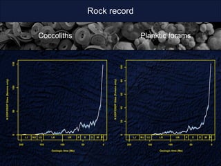 Comparing the deep sea rock and fossil records of coccolithophores and ...