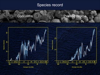 Comparing the deep sea rock and fossil records of coccolithophores and ...