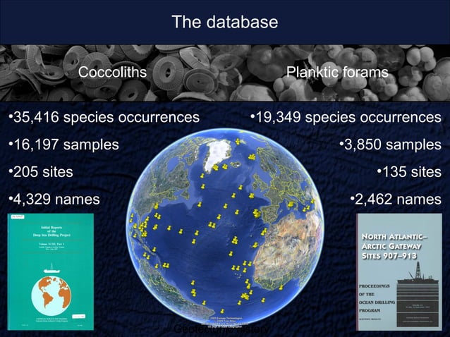 Comparing The Deep Sea Rock And Fossil Records Of Coccolithophores And Planktic Foraminifera