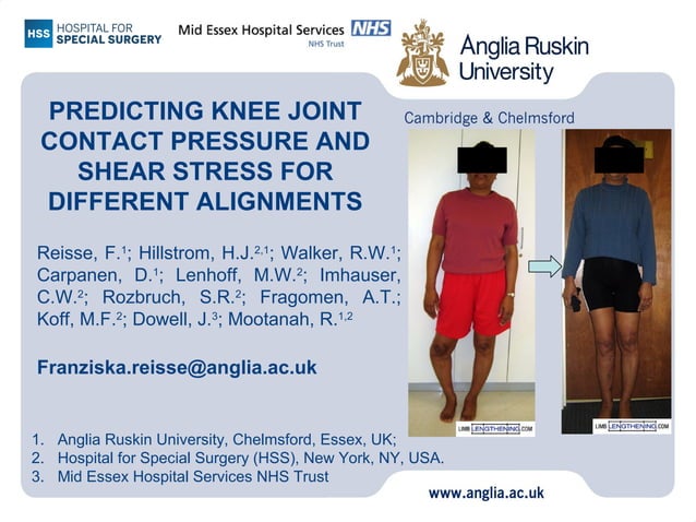 Predicting Knee Joint Contact Pressure and Shear Stress for Different Alignments | PPT