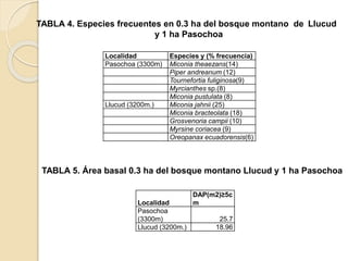 Composición y estructura de un bosque montano en Llucud, Chimborazo | PPTX
