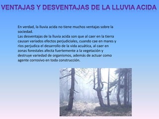 Efectos De La Lluvia Acida En Los Arboles