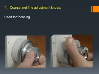 Light Microscopy | PPSX