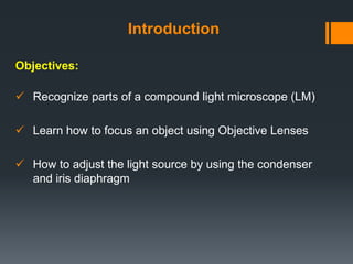 Light Microscopy | PPSX | Photography | Arts and Crafts