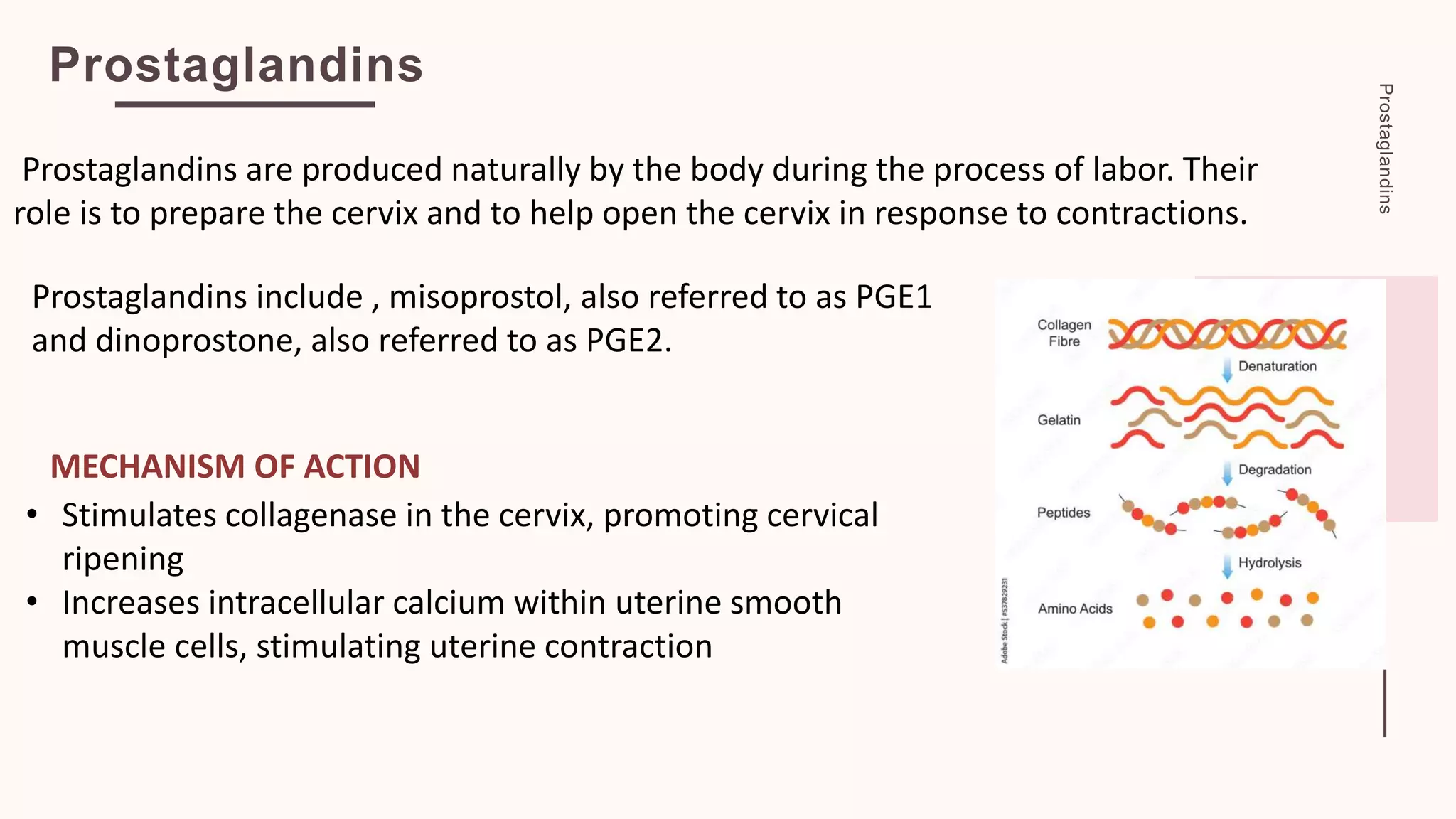 Common drugs used in labor | PPTX