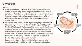 Common drugs used in labor | PPTX