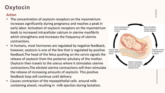Common drugs used in labor | PPTX | Pregnancy | Reproductive Health