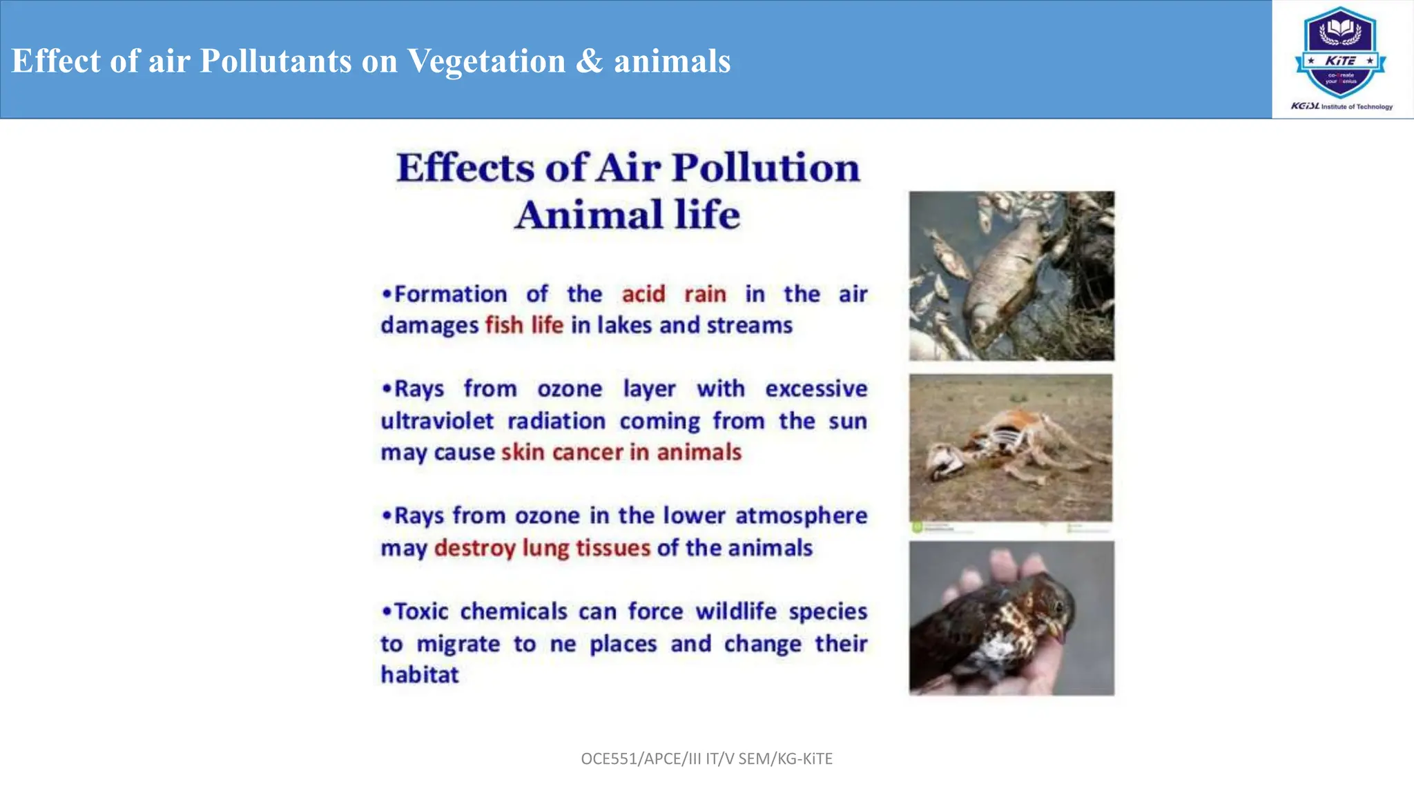 LM5 - Effect of air Pollutants on Vegetation & animals.pptx
