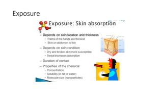 Acute chronic effects and route of chemical entry | PPTX