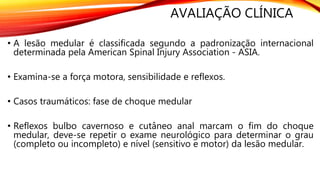 Lesão Medular | PPTX