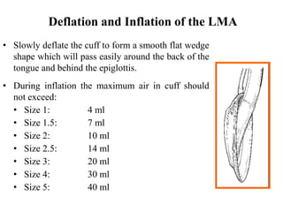 LMA (1).ppt