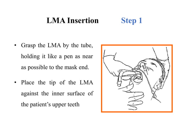 LMA (1).ppt