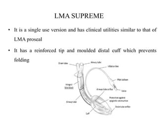 LMA (1).ppt