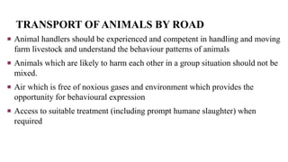 Animal Welfare and Ethics by Dr. Zia Ur Rehman | PPT