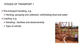 Animal Welfare and Ethics by Dr. Zia Ur Rehman | PPT