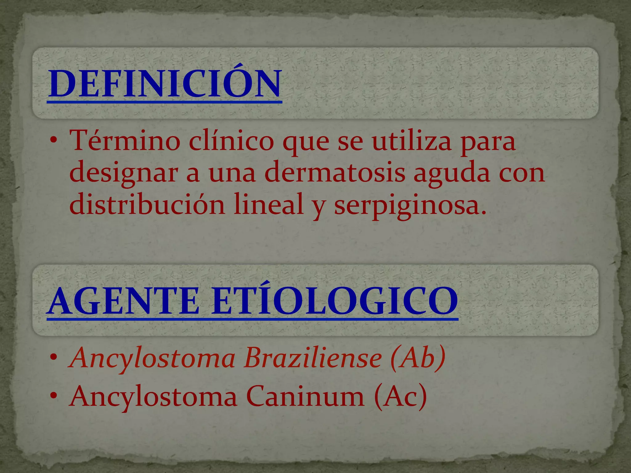 LARVA MIGRANS CUTANEA (LMC) | PDF | Skin and Dermatology | Diseases and ...