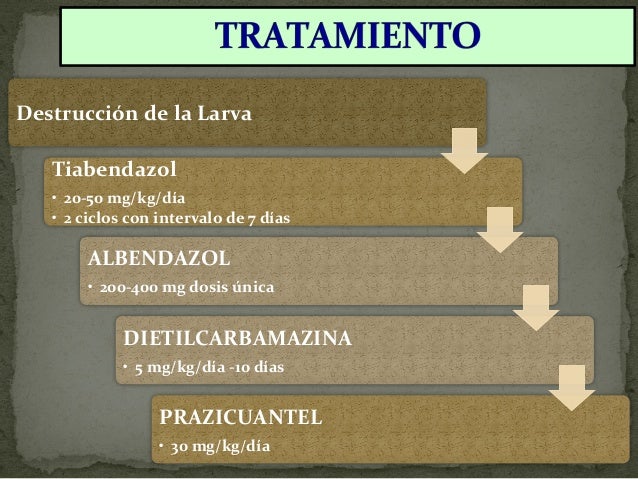 LARVA MIGRANS CUTANEA (LMC)