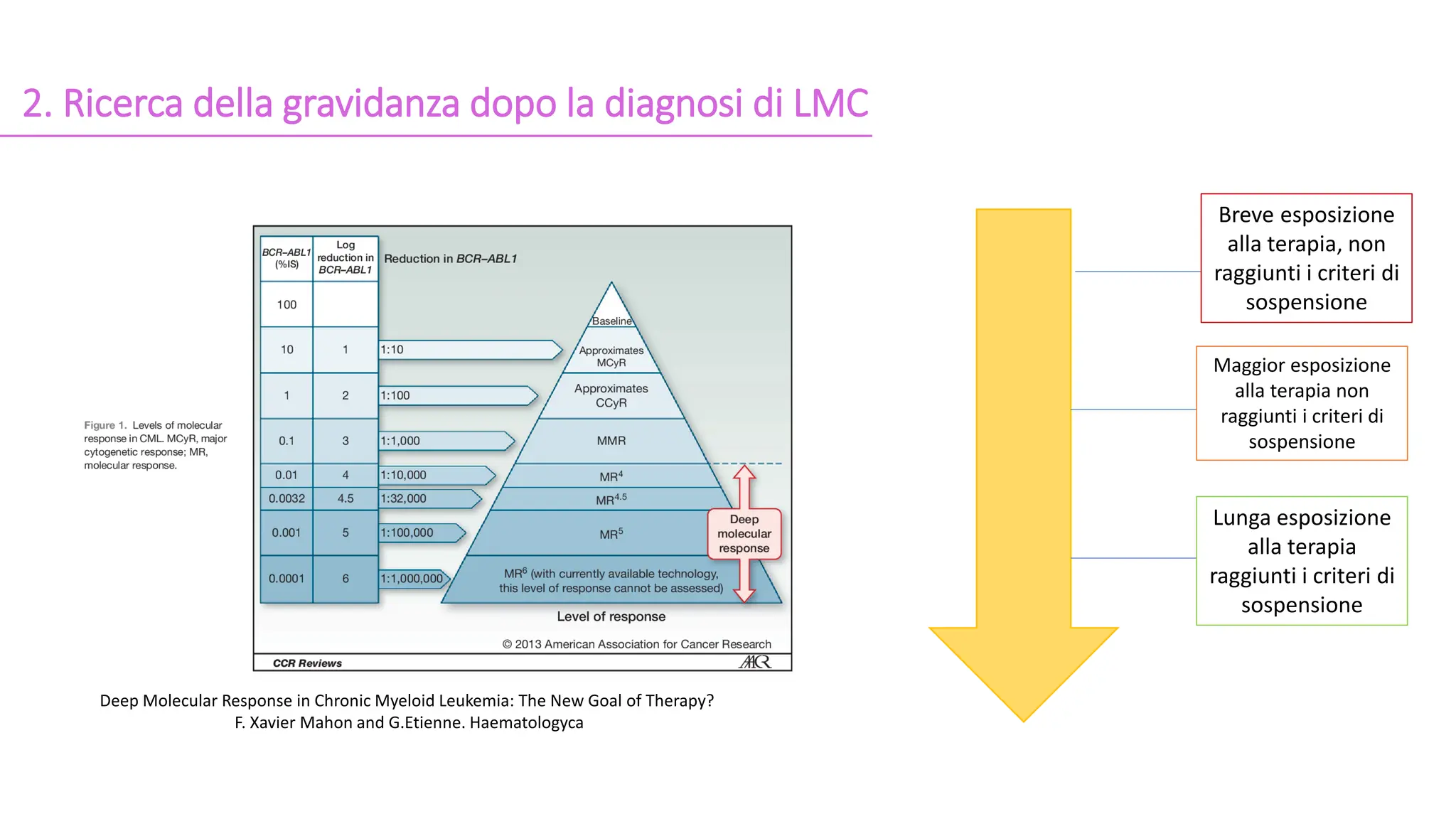 Leucemia Mieloide Cronica e gravidanza.pdf