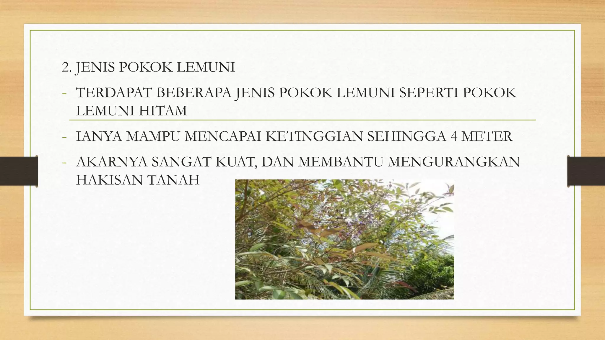Lmcp 1502 pokok lemuni | PPTX