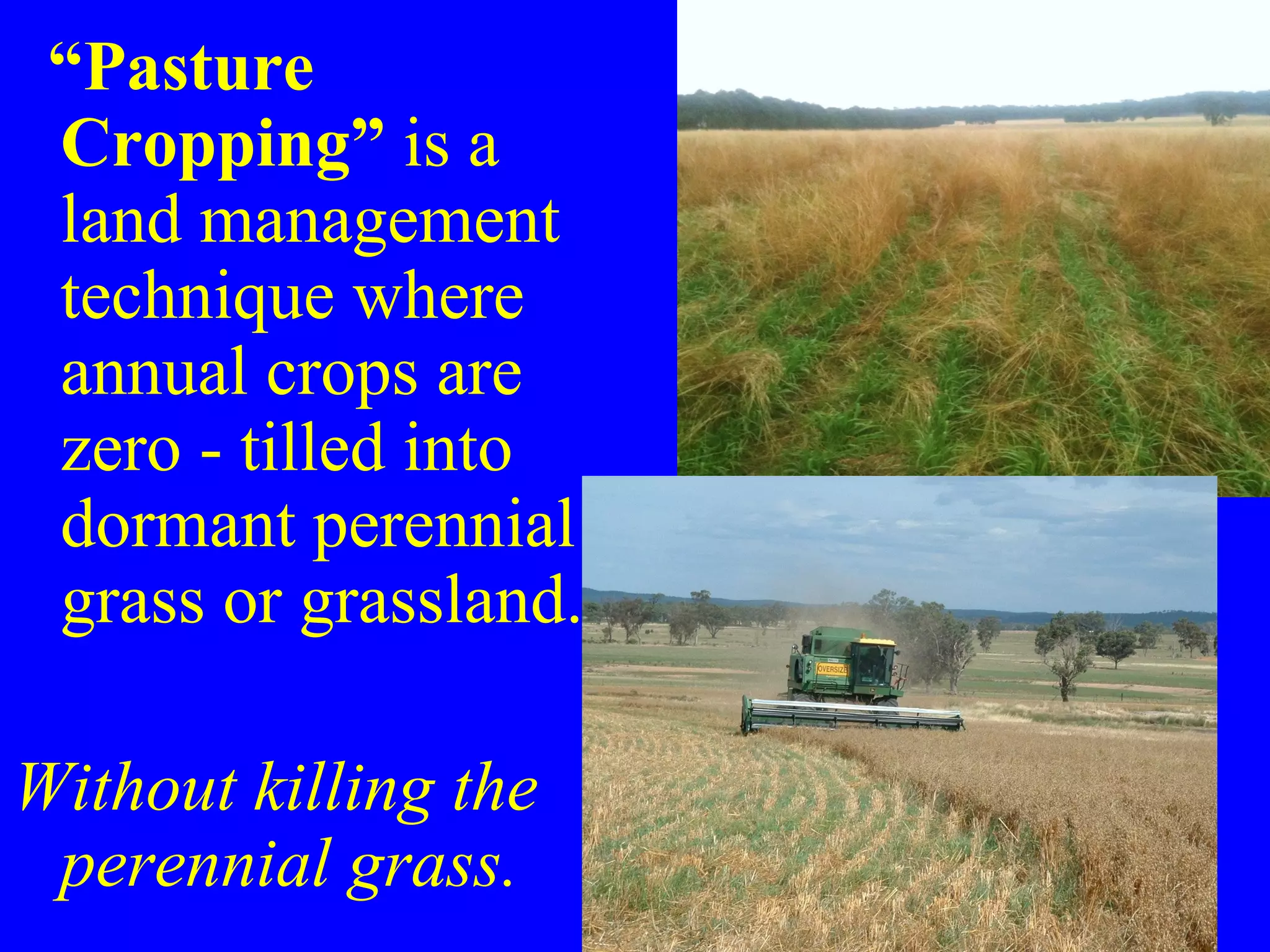 Pasture Cropping - Profitable Regenerative Agriculture Presented by ...