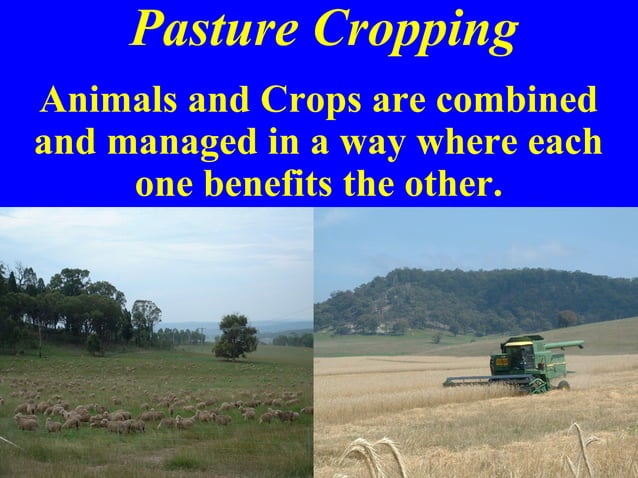 Pasture Cropping - Profitable Regenerative Agriculture Presented by ...